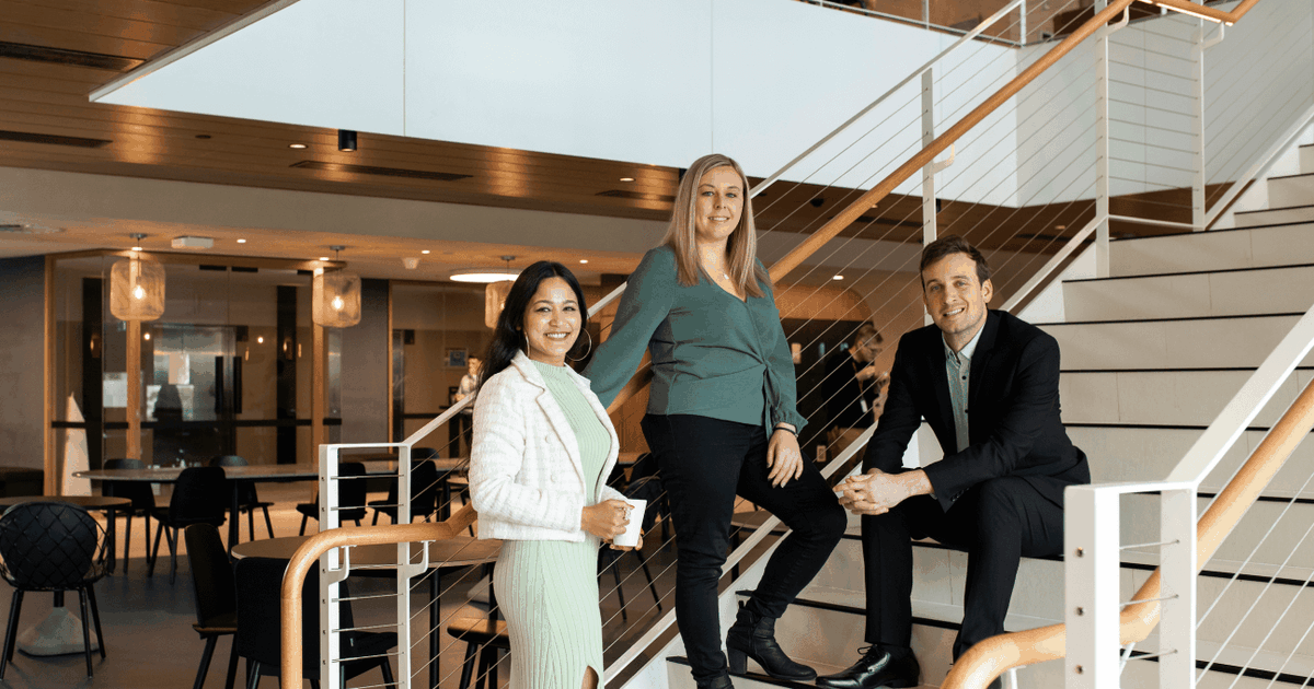 How P&N Group uses diversity demographics to make data-informed ...